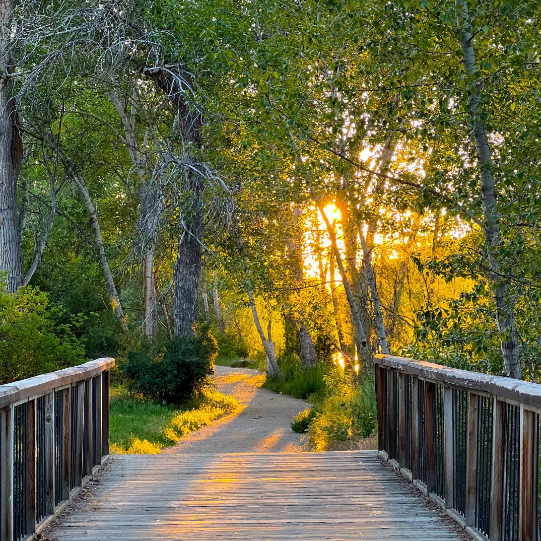 Outdoor Recreation In Boise - The SPARROW